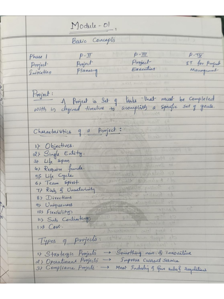 Projectmanagement | PDF