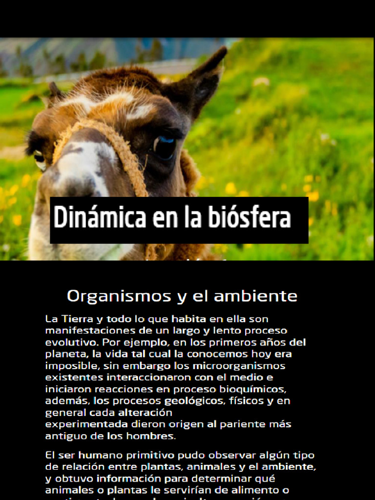 Ecosistema 5to Sec | PDF