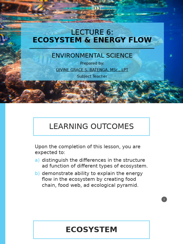 Ecosystem Structure and Energy Flow | PDF | Ecosystem | Food Web