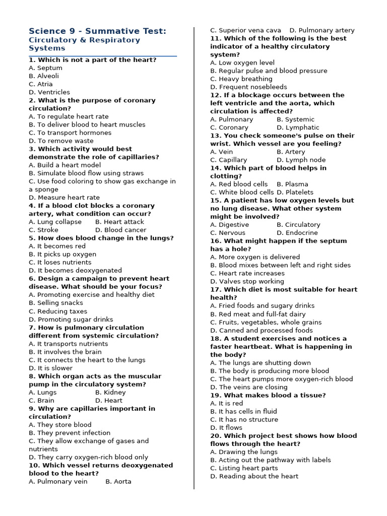 Updated Summative Test Circulatory Respiratory | PDF | Circulatory ...