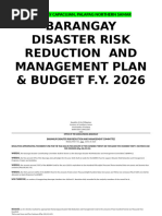 Barangay BDRRM Plan and Budget 2025 | PDF | Emergency Management | Risk ...