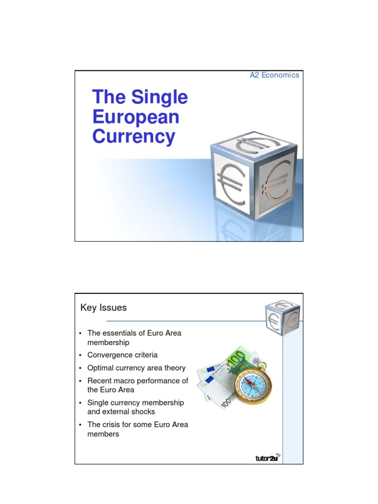 The Single European Currency: Key Issues | Download Free PDF | Eurozone ...