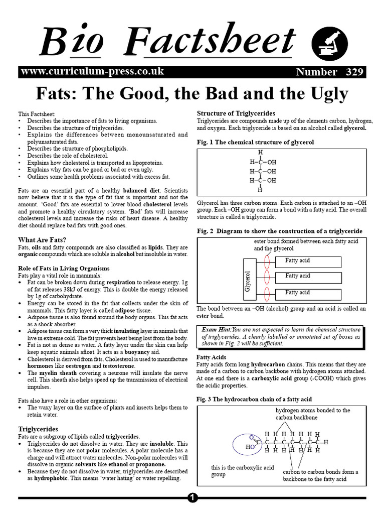 Understanding Fats: Good, Bad, Ugly | PDF | Fat | Fatty Acid