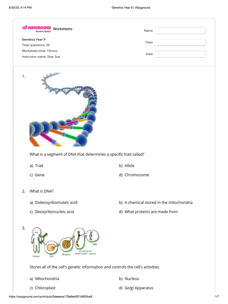 Year 9 Genetics Worksheets | PDF | Sexual Reproduction | Genetics