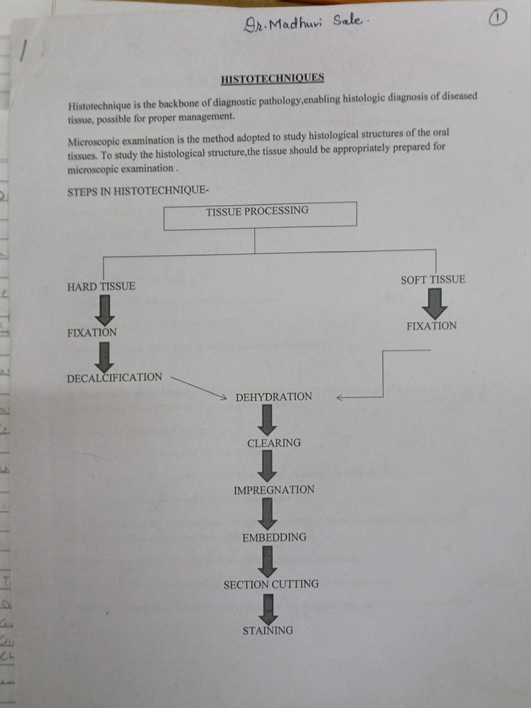 Histotechniques Writeup | PDF