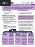 Cat FAS and Frustration Scale Guide | PDF