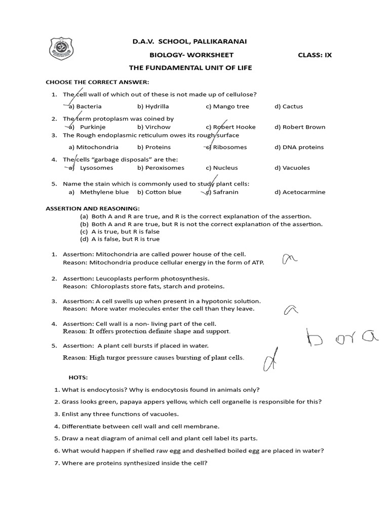Class 9 Fundamental Unit of Life Worksheet | PDF | Cell (Biology ...