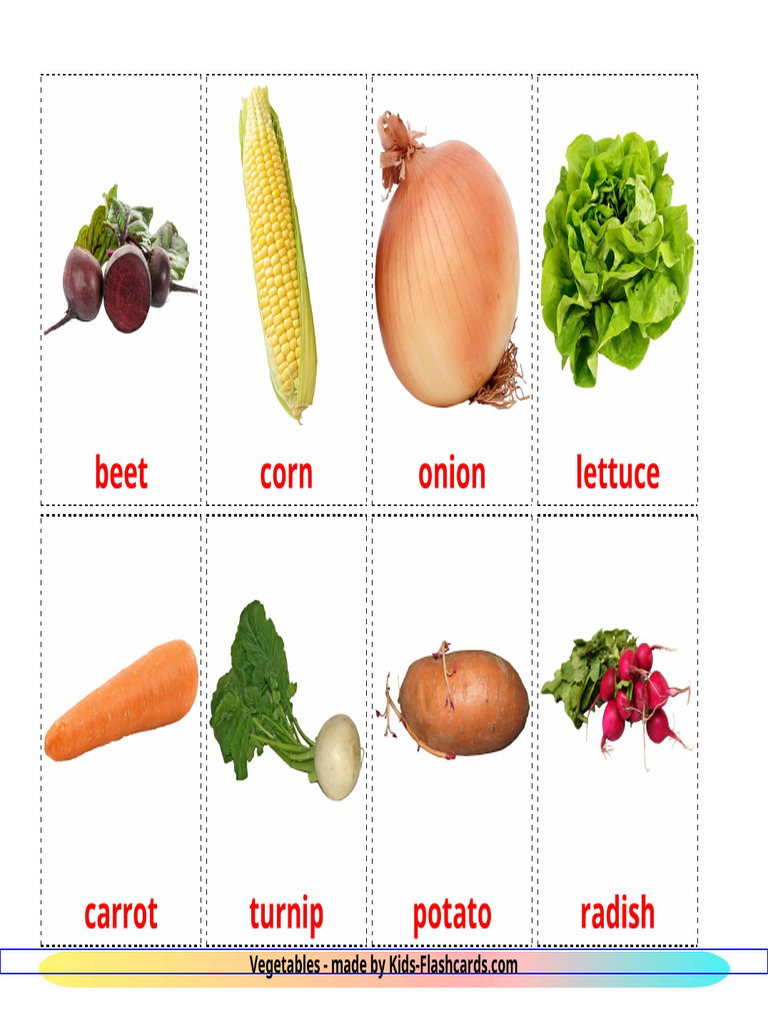 Vegetables 8 A4 | PDF