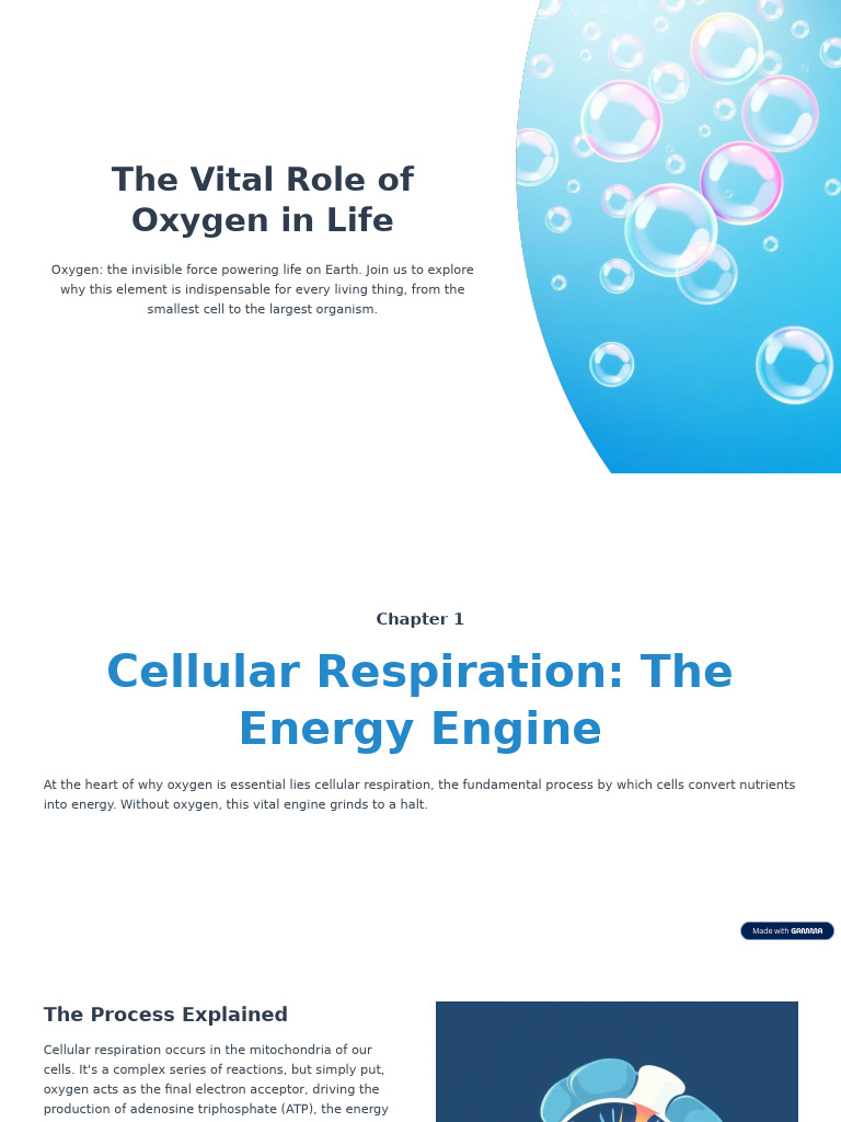 The Essential Role of Oxygen in Life | PDF | Oxygen | Cellular Respiration