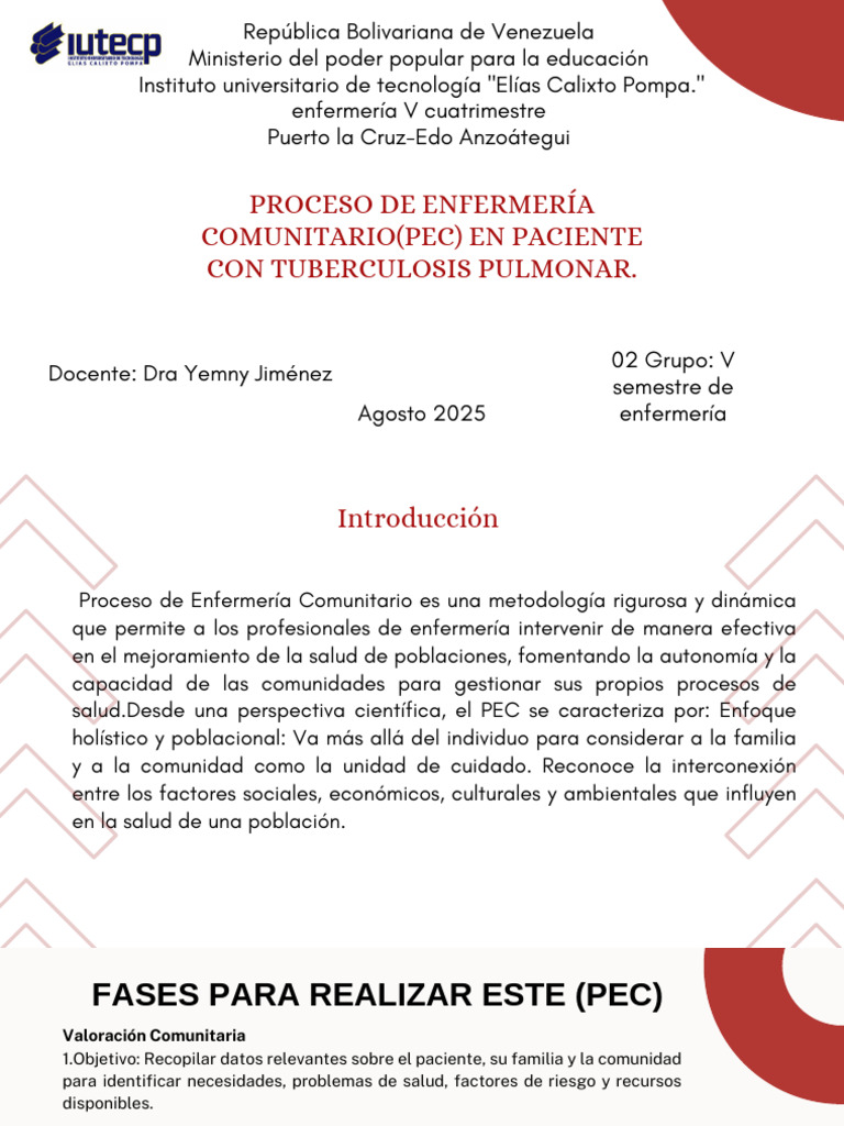 Sistema Respiratorio - 20250803 - 095358 - 0000 | PDF | Tuberculosis ...