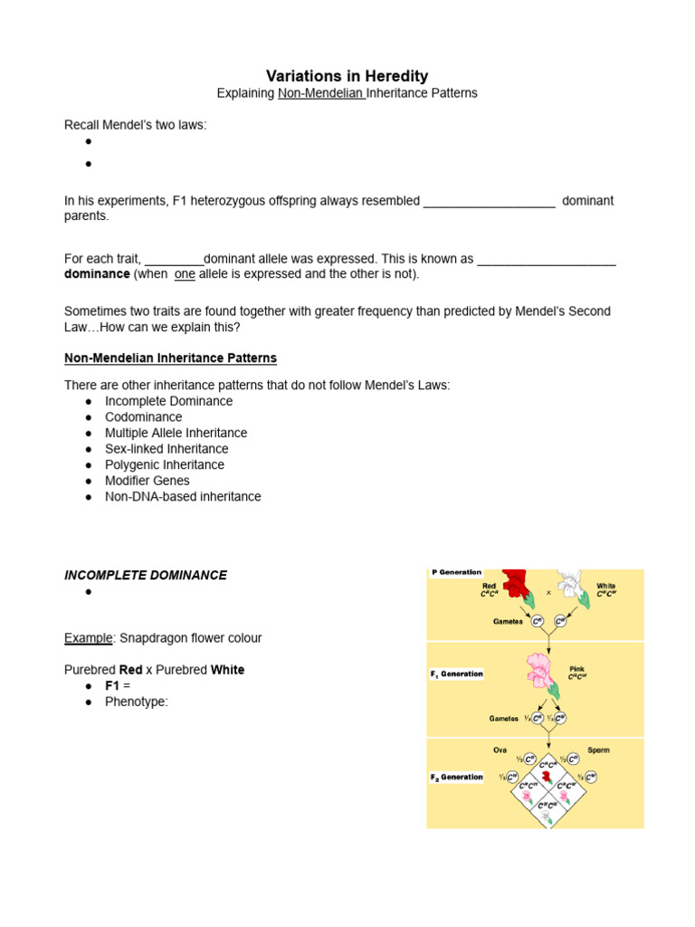Variations in Heredity Handout (SS) | PDF | Dominance (Genetics) | Allele