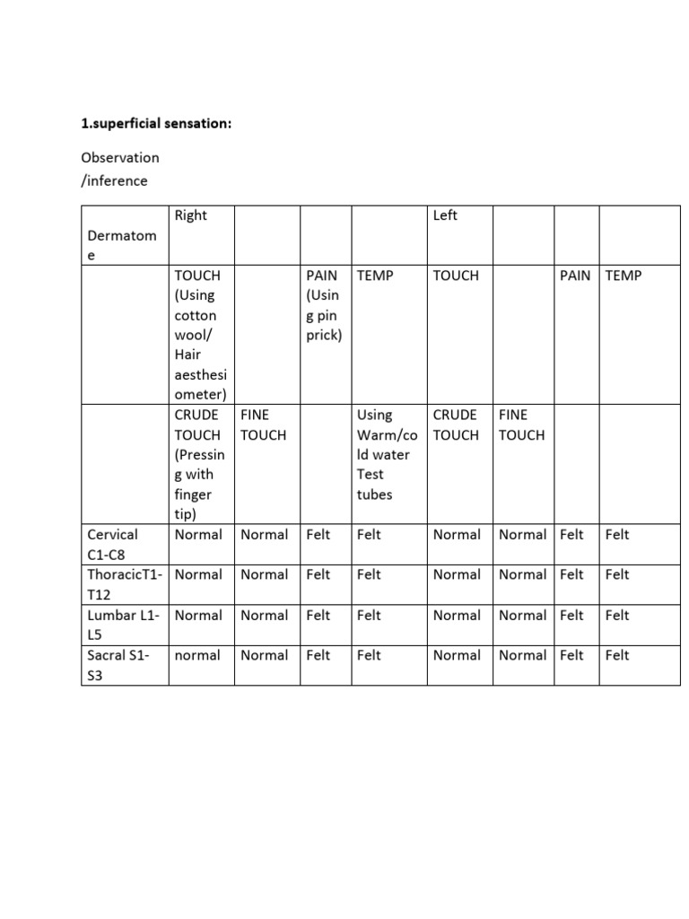 Sensory System Examination Report | PDF | Human Leg | Somatosensory System