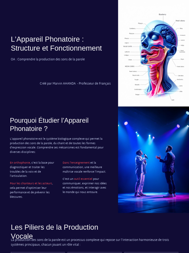 Comprendre l'Appareil Phonatoire | PDF | Voix humaine