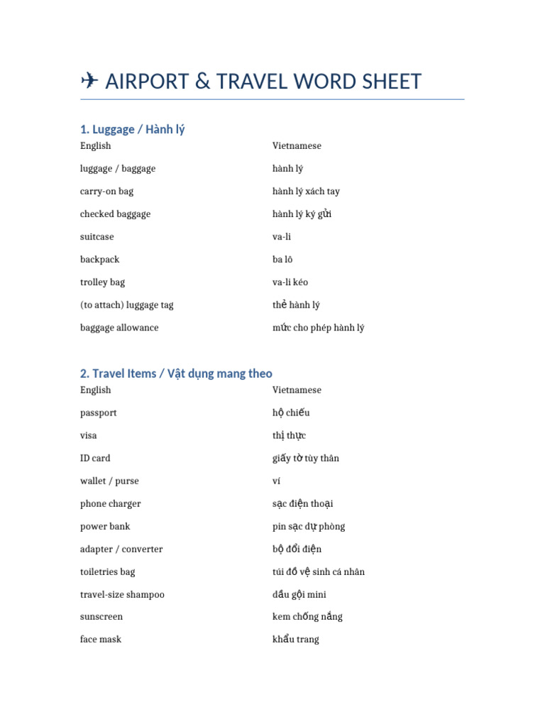 Airport Travel Vocabulary Guide | PDF | Baggage