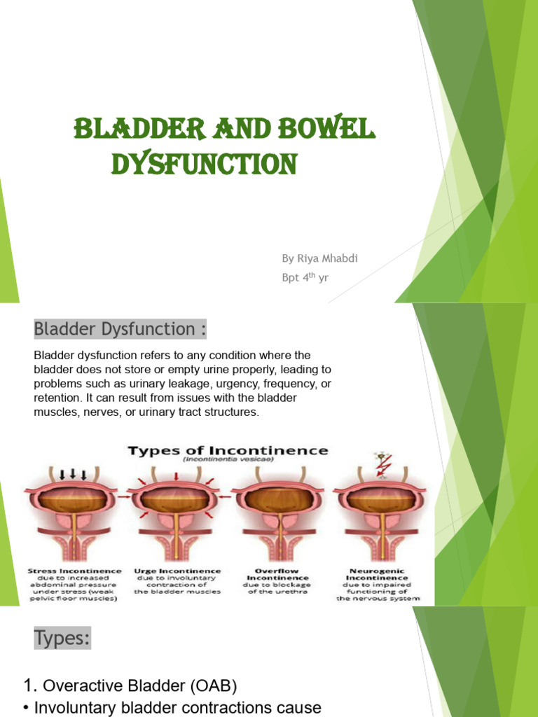 Bladder and Bowel Dysfunction Overview | PDF | Urinary Incontinence ...