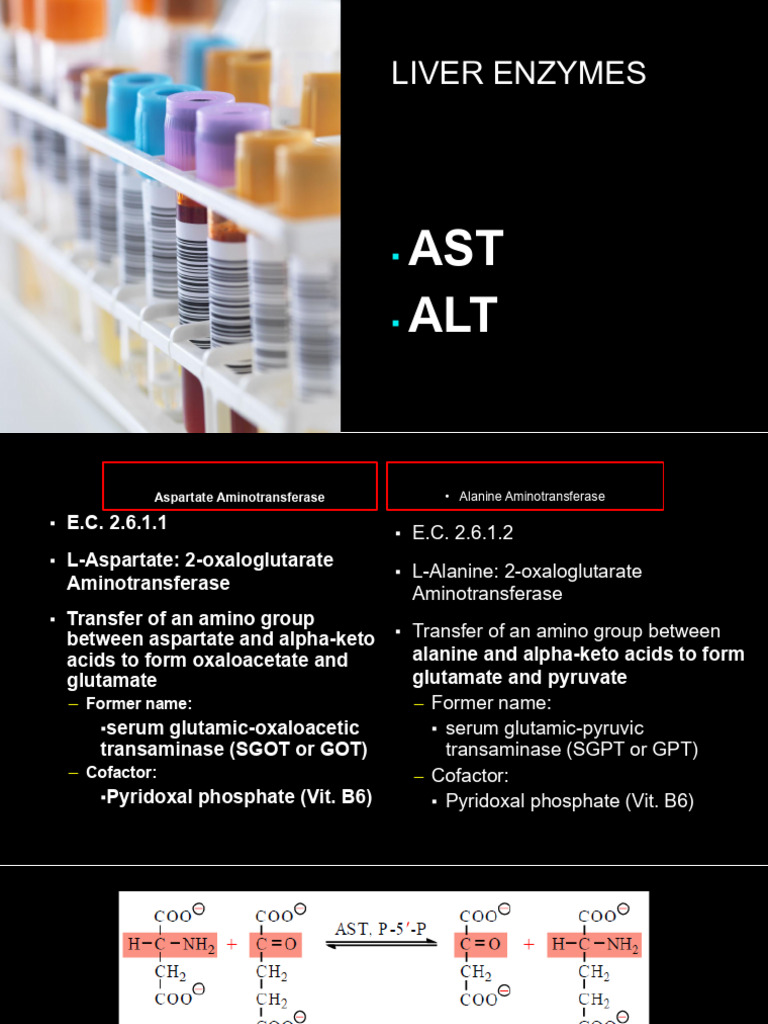 Liver Enzymes: AST, ALT, and ALP Overview | PDF | Transaminase ...