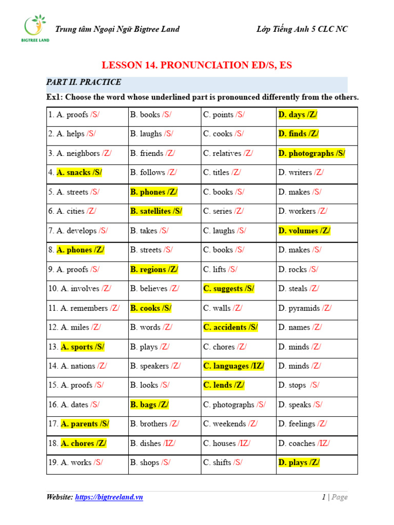 Key - Lesson 14. Pronunciation Ed - S, Es | PDF