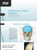Huesos Del Neurocraneo | PDF | Cráneo | Cabeza y cuello humanos