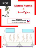 Praticando Fisio Tipos de Marchas Patológicas | PDF | Fisioterapia ...