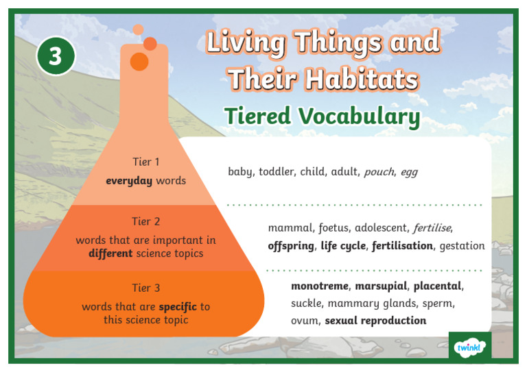 3 Tiered Vocabulary Poster Life Cycles of Mammals | PDF