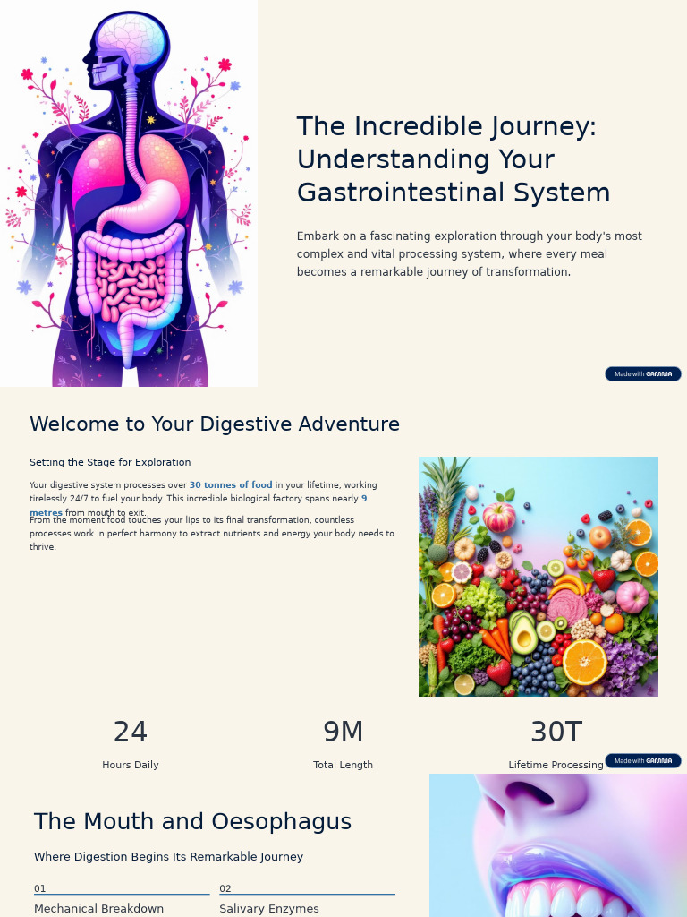 Explore Your Digestive System Journey | PDF | Digestion ...