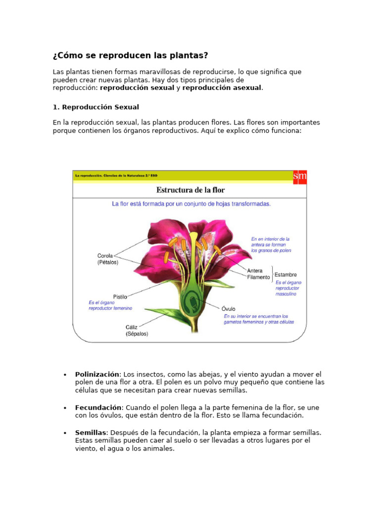 Reproducción Sexual de Plantas | PDF | Reproducción | Plantas