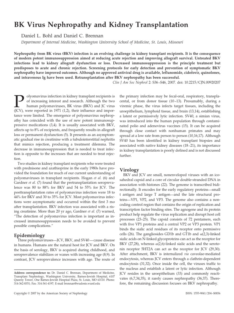 BK Virus Nephropathy in Transplants | PDF | Transplant Rejection ...