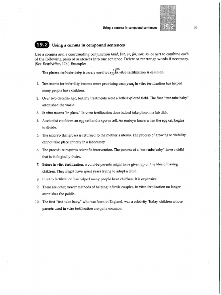 Comma Exercises and Rules | PDF