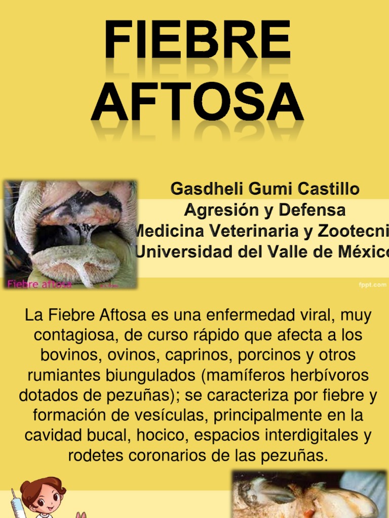 Fiebre Aftosa | PDF | Enfermedades y trastornos | Especialidades Medicas