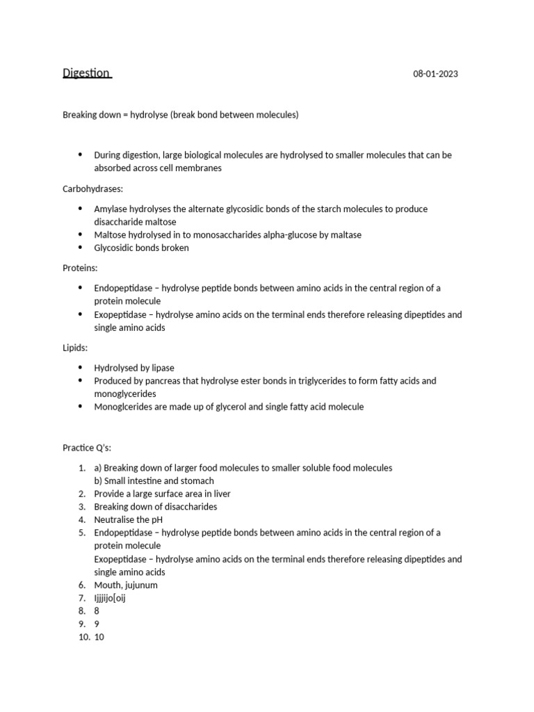 Digestion Bio 08 | PDF