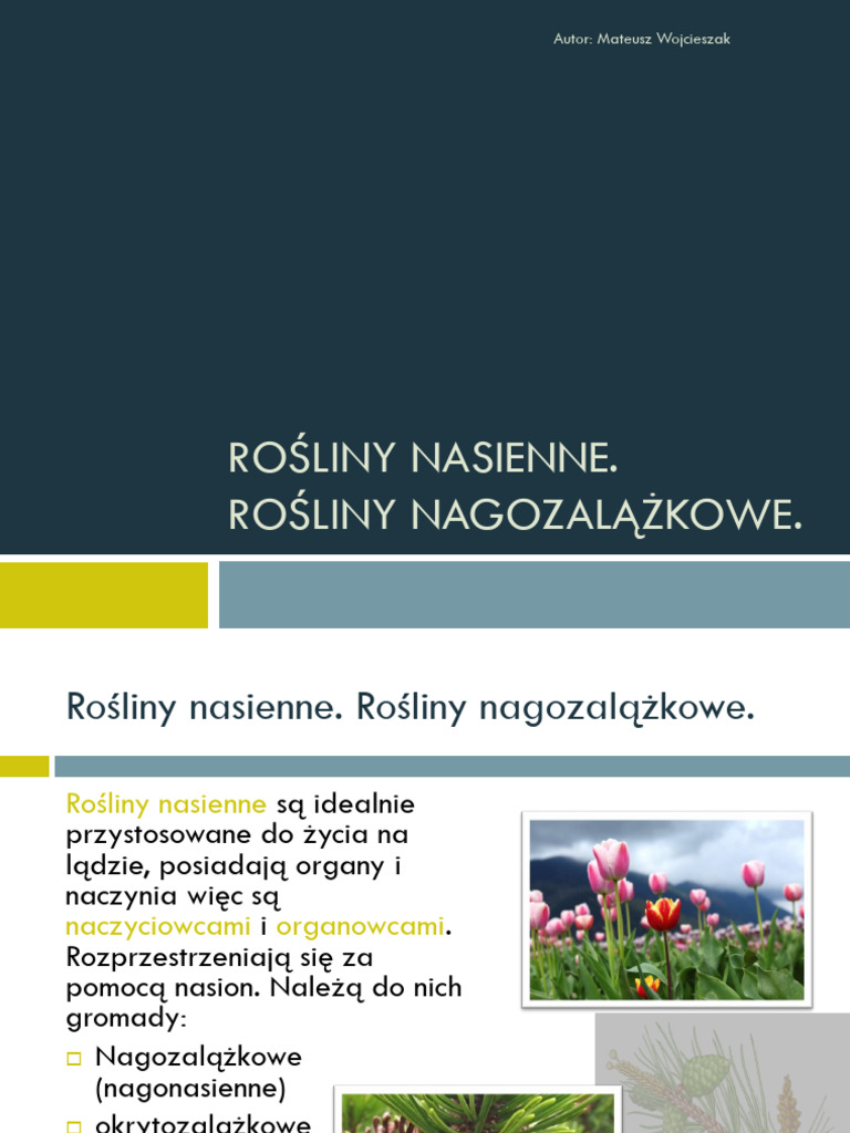 Rosliny Nasienne. Rosliny Nagozalazkowe. | PDF