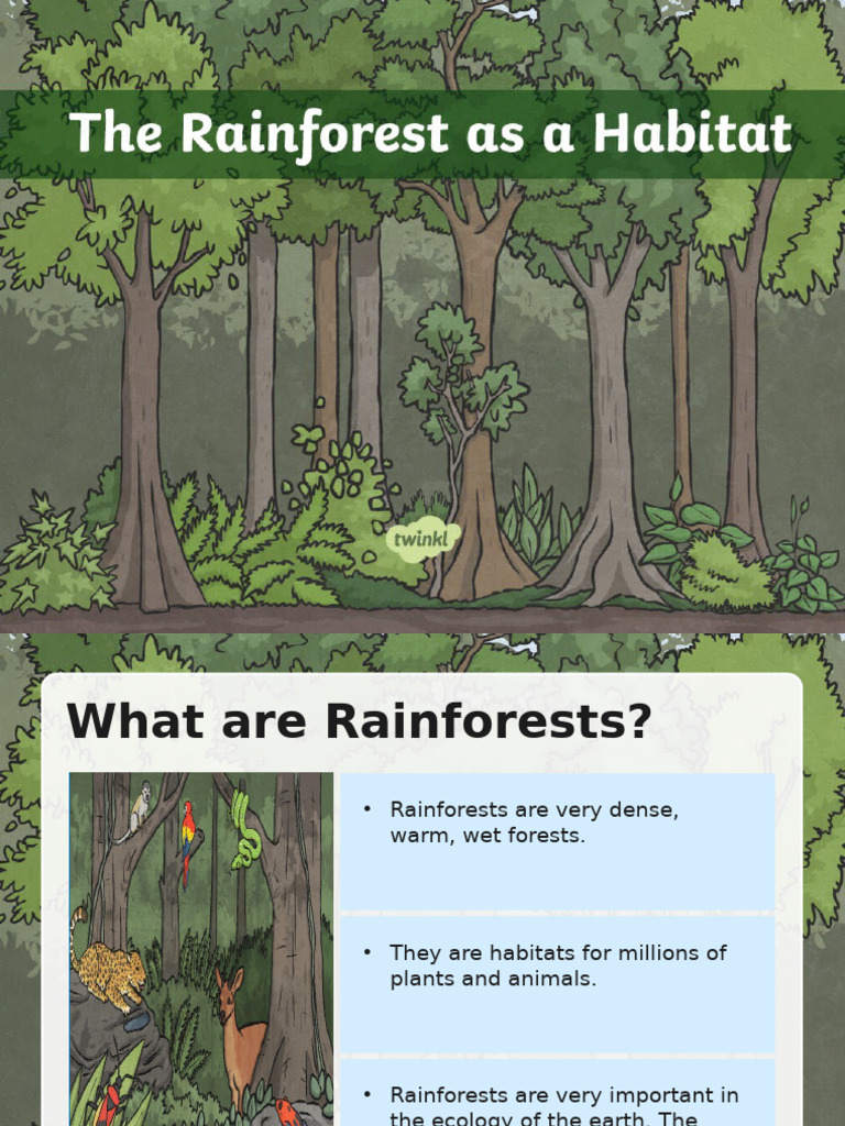 T2 S 231 Rainforest As Habitats Powerpoint Ver 2 | PDF | Rainforest ...