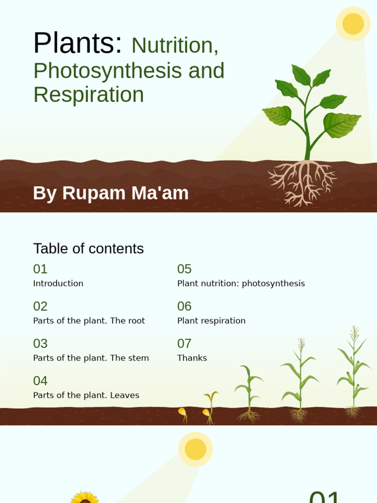 Plants - Nutrition, Photosynthesis and Respiration by Rupam Ma'Am | PDF ...