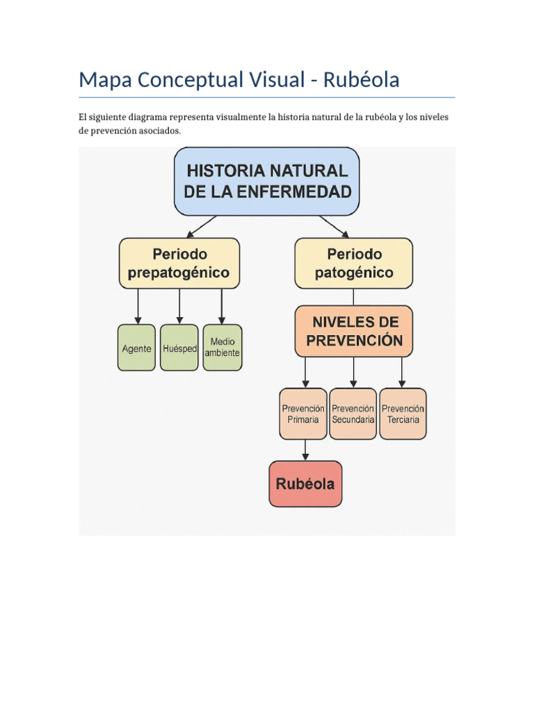 Mapa Conceptual Visual Rubeola | PDF