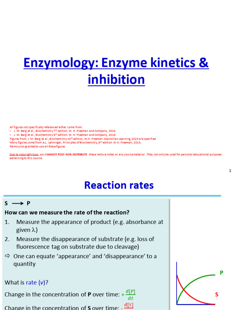 Enzyme Kinetics and Inhibition Explained | PDF | Enzyme Kinetics ...