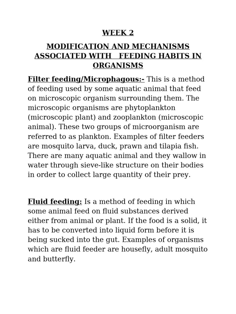 Feeding Mechanisms in Organisms | PDF | Stoma | Decomposition