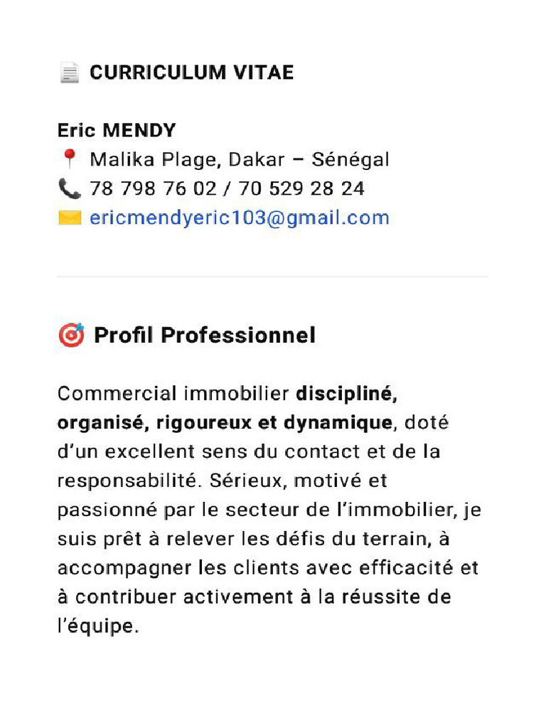 CV Eric Mendy | PDF