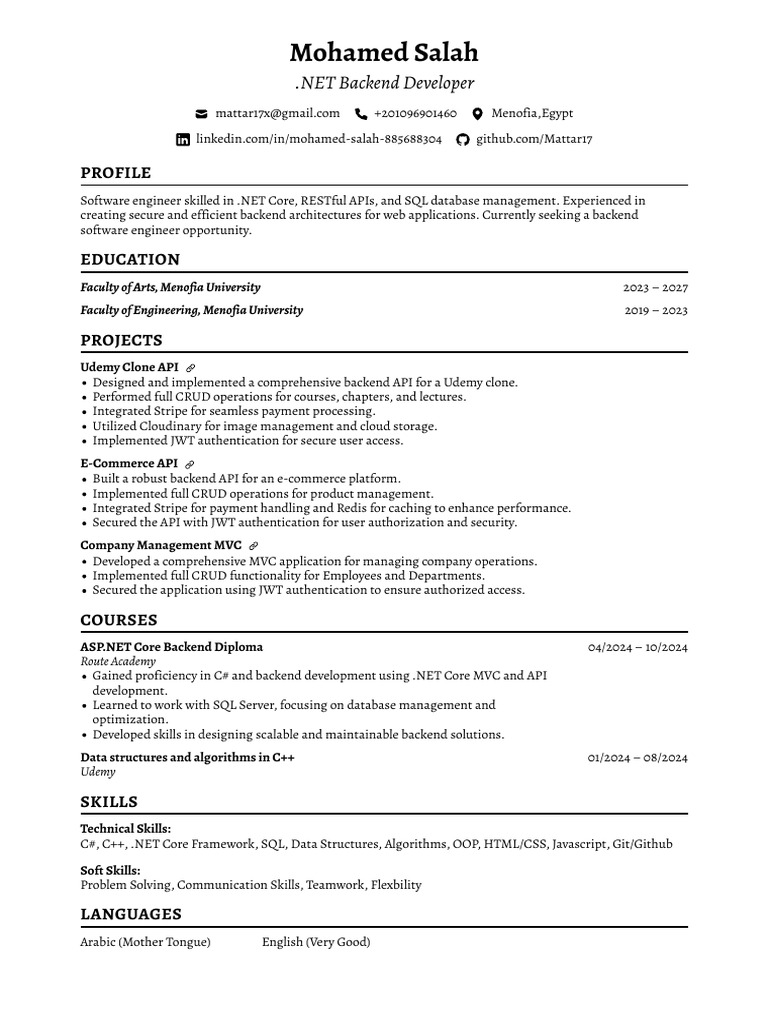 Mohamed Salah - .NET Developer | PDF | Databases | Model–View–Controller