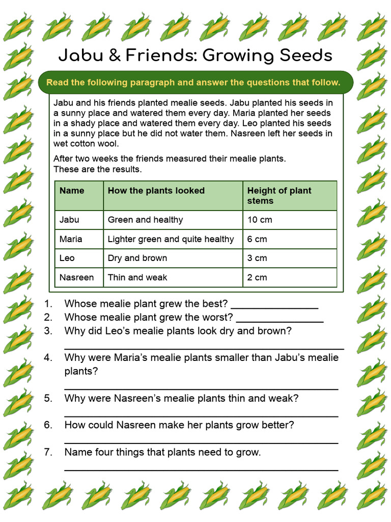 Plant Growth Essentials for Kids | PDF