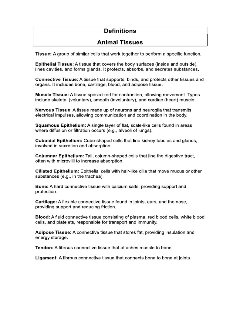Grade 9 IEB - Definitions For Animal Tissues | PDF