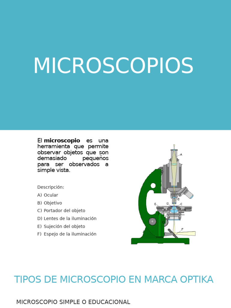 Tipos de microscopios y sus funciones | PDF