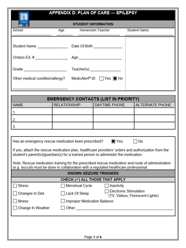 Adminpro 3 32 Appendix D Plan of Care Epilepsy 2025 1 | PDF | Epilepsy ...