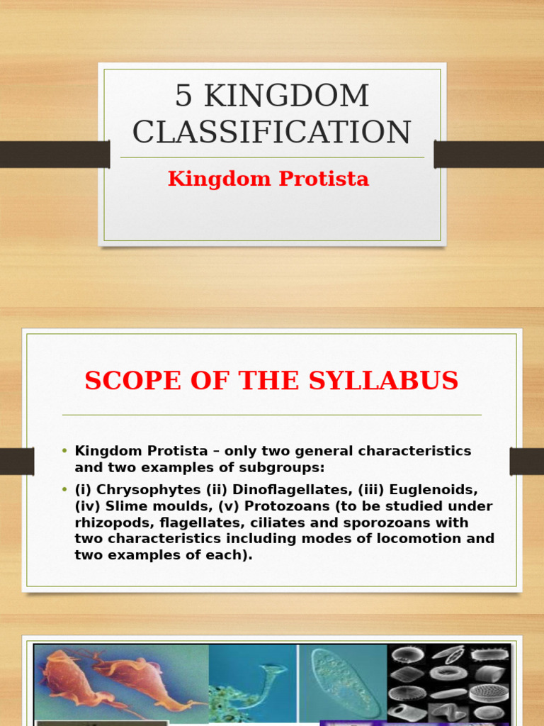Classification of Kingdom Protista | PDF | Protozoa | Biology