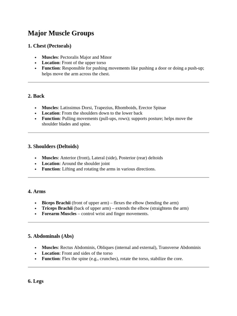 Understanding Major Muscle Groups | PDF