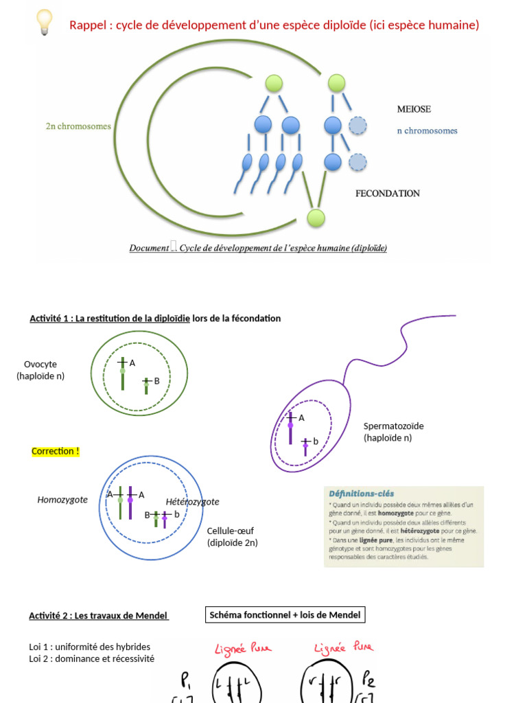 TP2 - Correction | PDF