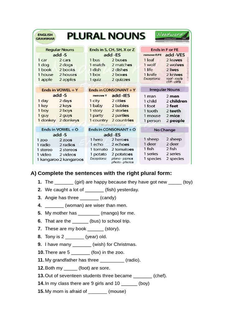 Plural Form Exercises for Kids | PDF