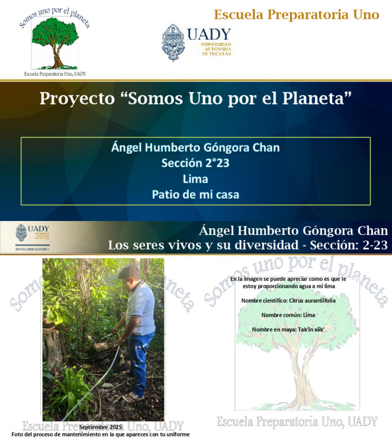 Góngora Chan 2.23 Parte 1 | PDF