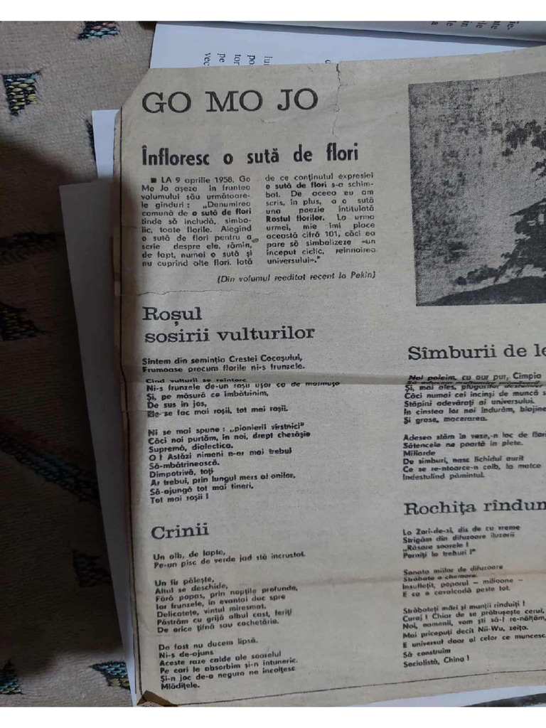 Go Mo Jo | PDF