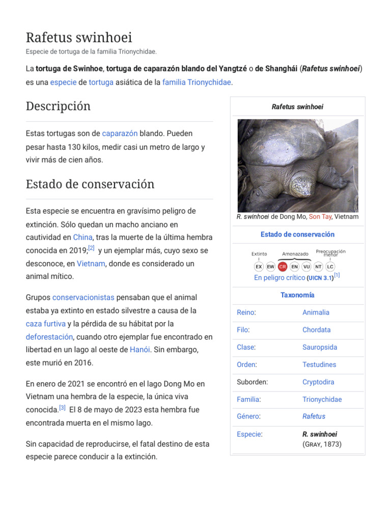 Rafetus Swinhoei - Wikipedia, La Enciclopedia Libre | PDF | Reptil | Biota