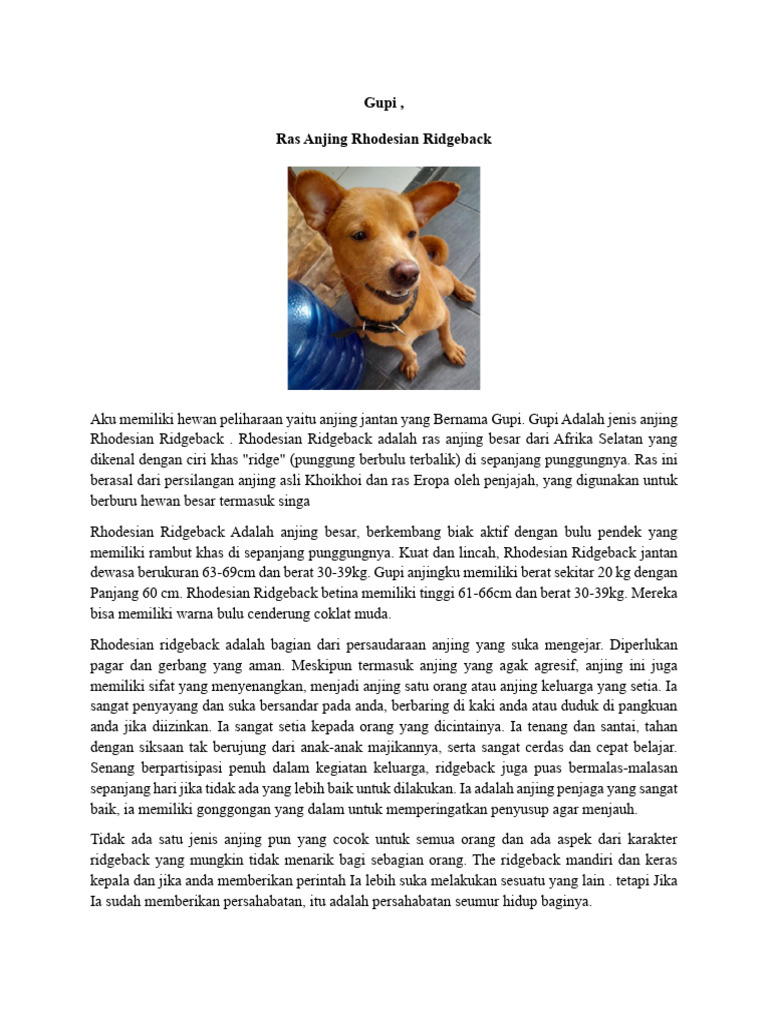 Gupi | PDF
